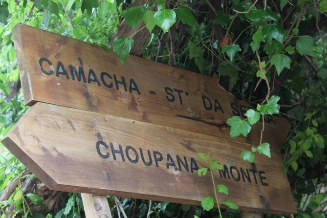 Vale Paraíso - Rochão (Half Day Walk) - A Practical Guide to the Vale Paraíso - Rochão Half-Day Walk