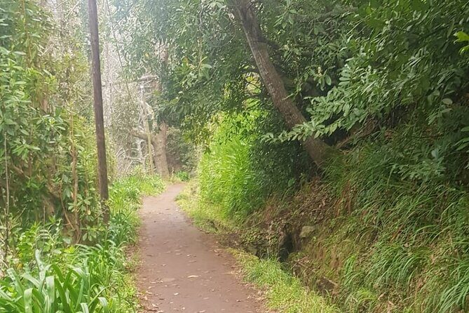 Vale Paraíso - Rochão (Half Day Walk) - The Sum Up
