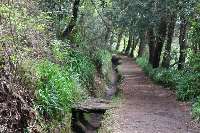 Vale Paraíso - Rochão (Half Day Walk) - FAQ about the Vale Paraíso - Rochão Half-Day Walk