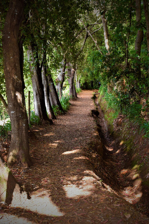 Vale Paraíso Rochão Madeira Island Walk - Key Points