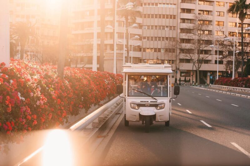 Valencia 1 hour by TukTuki: Essential and Private Tour - Frequently Asked Questions