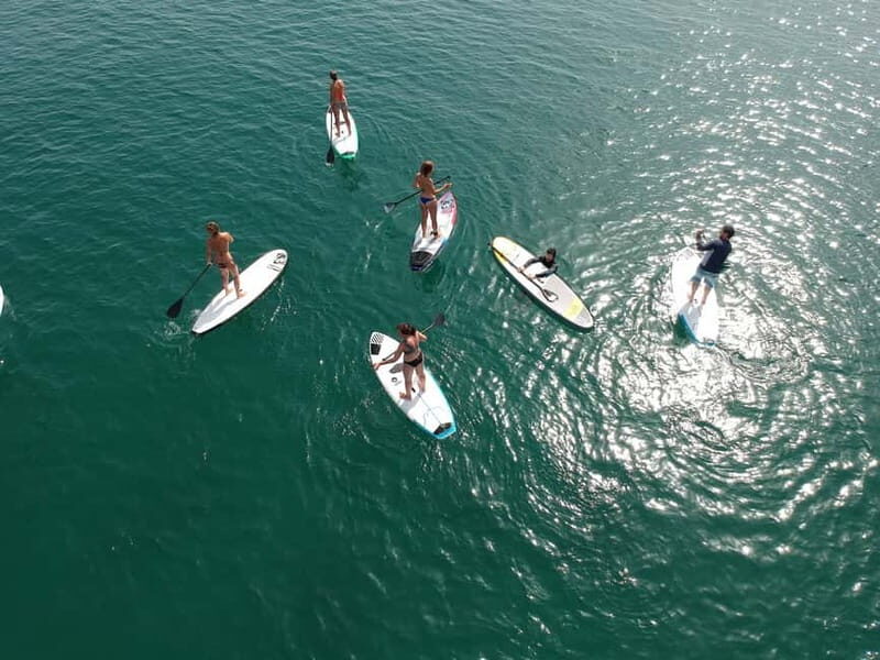 Valencia: 1 Hour Stand Up Paddle Board Lesson - Introducing the Valencia Stand-Up Paddle Board Lesson