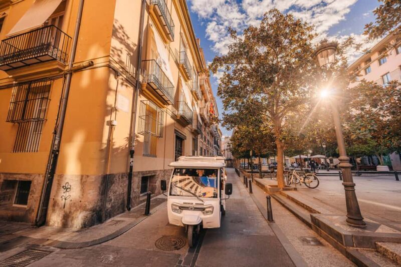 Valencia: 2-hour City Highlights Guided Tour by Tuk Tuk - Introducing the Valencia: 2-hour City Highlights Guided Tour by Tuk Tuk