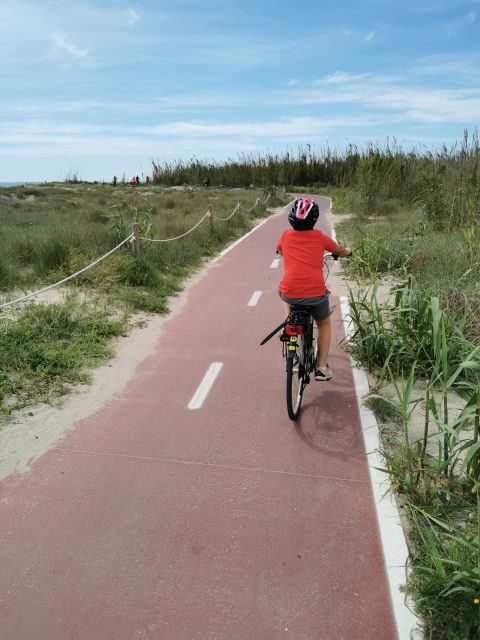 Valencia: Albufera Natural Park Bike and Boat Tour - An Authentic Day Out in Valencia’s Natural Haven