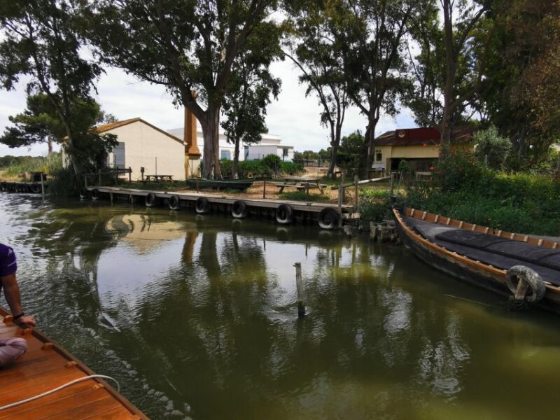 Valencia: Albufera Natural Park Bike and Boat Tour - Final Thoughts