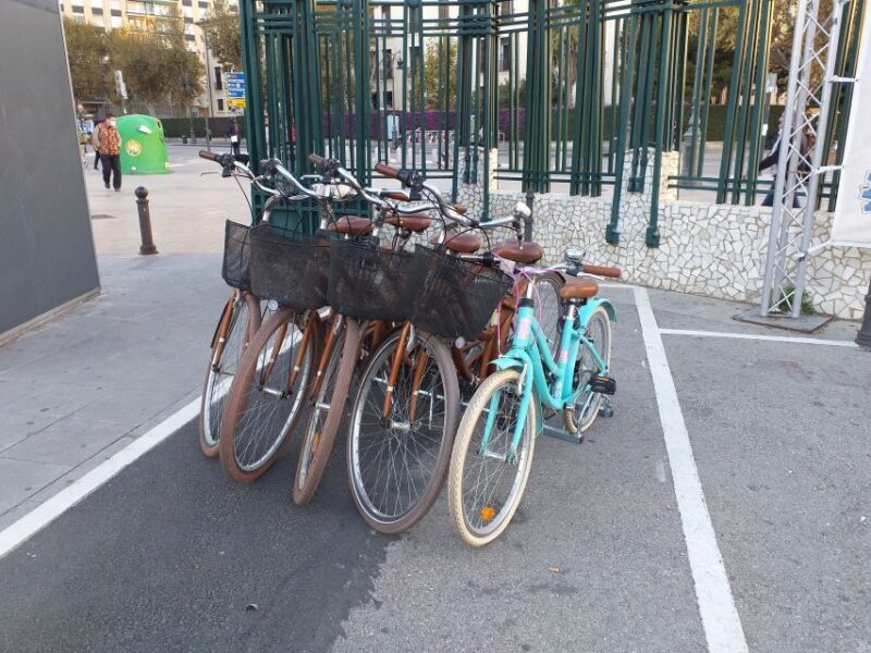 Valencia: Bike Rental for 1 to 4 Days - Who Should Consider This Experience?