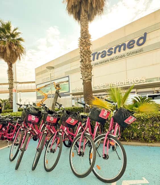 Valencia: Bike Tour and Tapas for Cruise Passenger - What to Expect on the Valencia Bike Tour and Tapas Experience