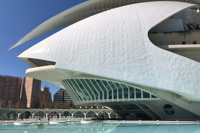 Valencia Bike Tour: Top Sights and City of Arts & Sciences - The Overall Experience
