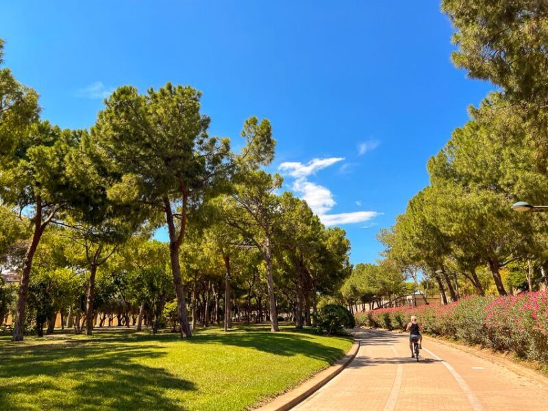 Valencia Bike Tours: City Highlights - FAQ