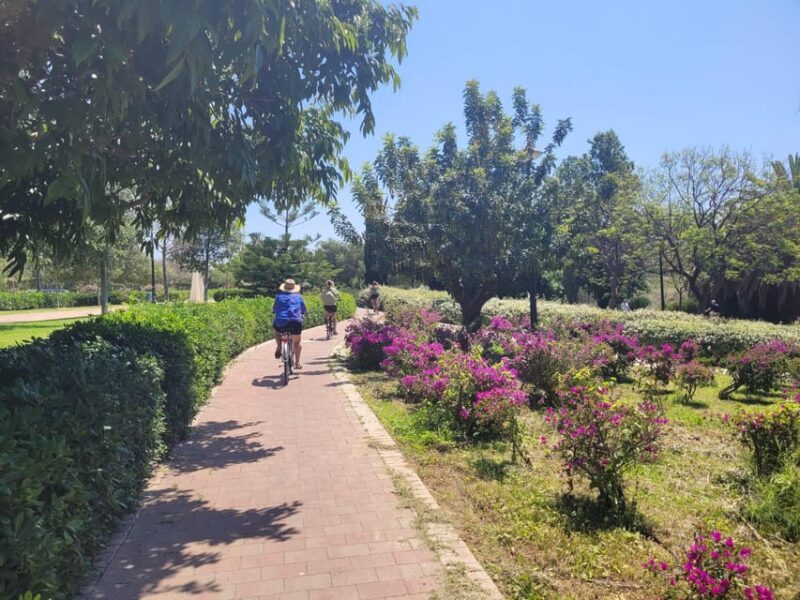 Valencia, Biketour of all the city with a local guide - Discovering Valencia: A Local-Led Bike Tour That Brings the City Alive
