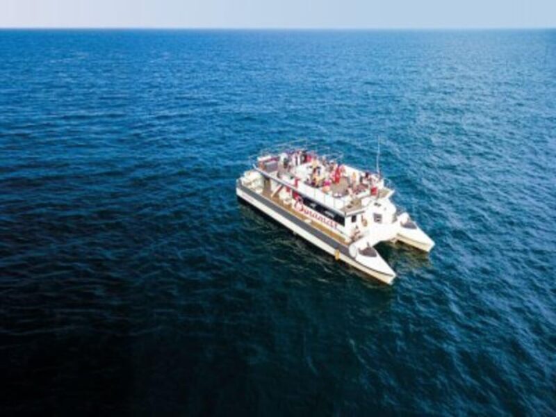 Valencia: Boat Trip on the Valencian coast with lunch - The Experience at a Glance