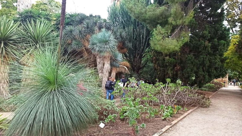 Valencia Botanical Garden Guided Tour - A Friendly Introduction to Valencia’s Living Museum