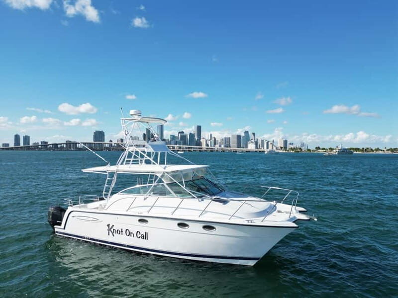 Valencia: Catamaran Boat Rental with Captain and Drinks - Introduction: A Sailing Experience in Valencia Like No Other
