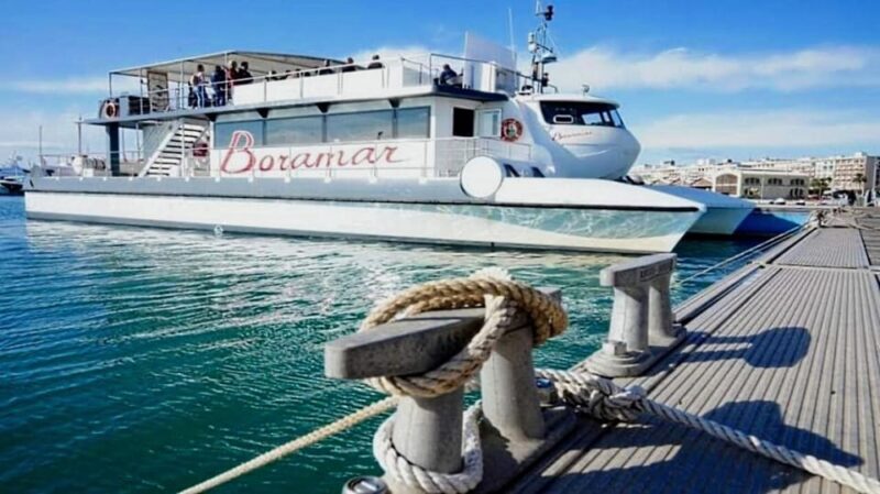 Valencia: Catamaran Cruise with Stop for Swimming - Key Points