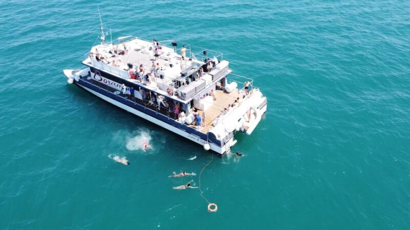 Valencia: Catamaran Cruise with Stop for Swimming - A Closer Look at the Experience