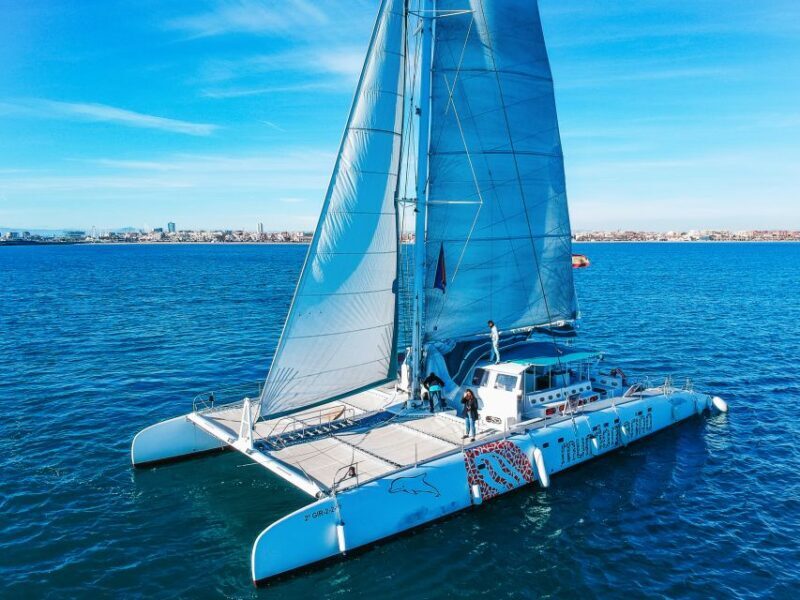 Valencia: Catamaran Cruise with Sunset Option - The Real Experience: Authentic Voices and Insights