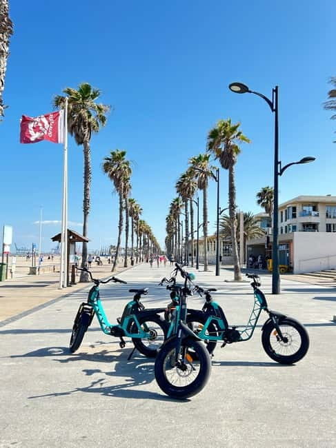 Valencia: E-bike Tour, Beaches, & City of Arts and Sciences - The Experience of the Guides