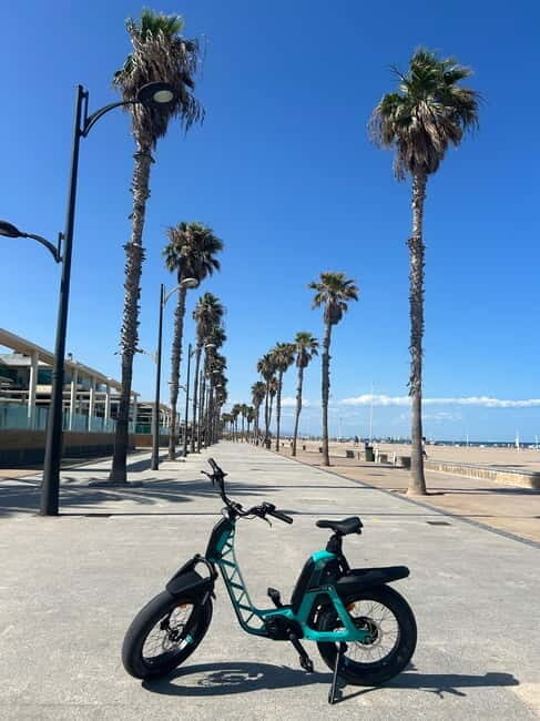 Valencia: E-bike Tour, Beaches, & City of Arts and Sciences - Practical Details and Tips