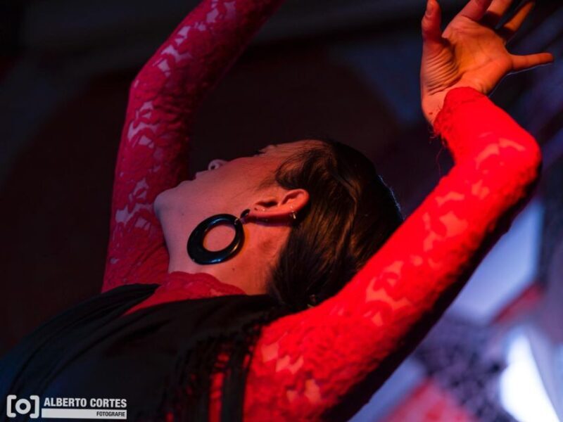 Valencia: Flamenco at Toro y La Luna with Drinks or Dinner - Key Points