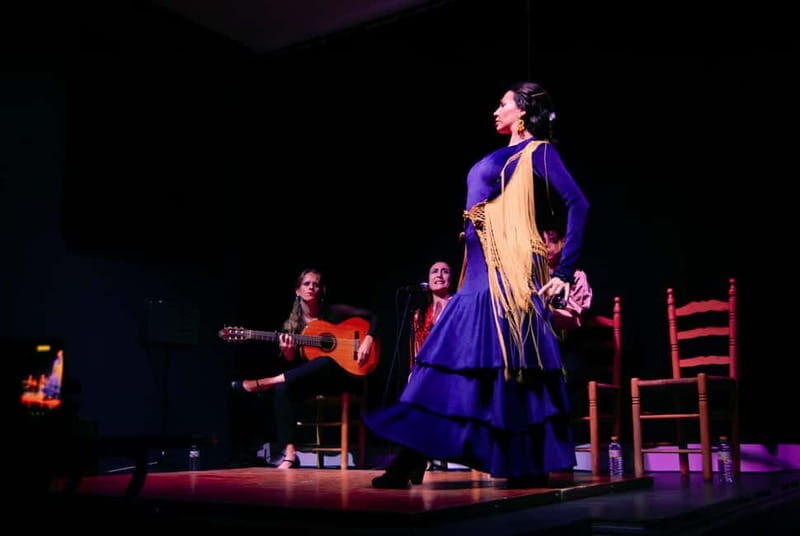 Valencia Flamenco Show Tablao La Reina - The Experience for Different Types of Travelers