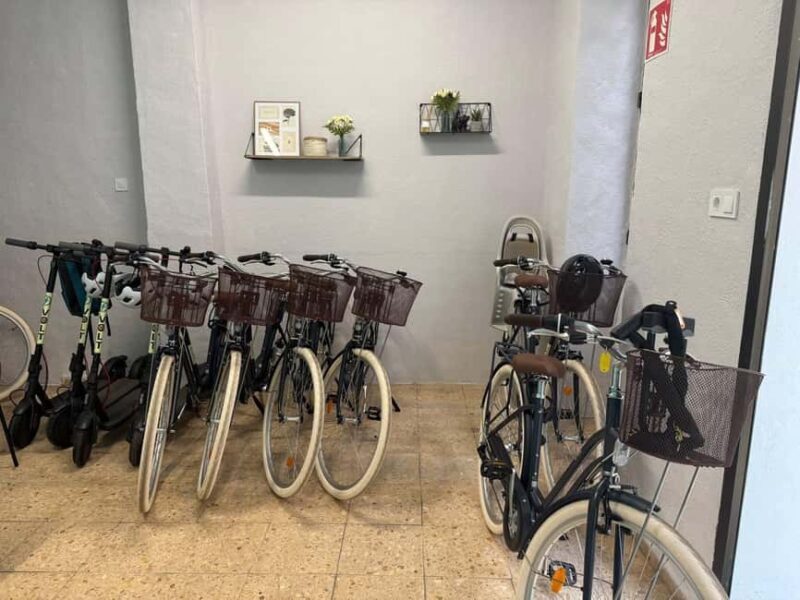 Valencia: Full-Day E-Bike Rental (9:30AM20:00PM) - The Practical Side: Duration, Group Size, and Ease of Use