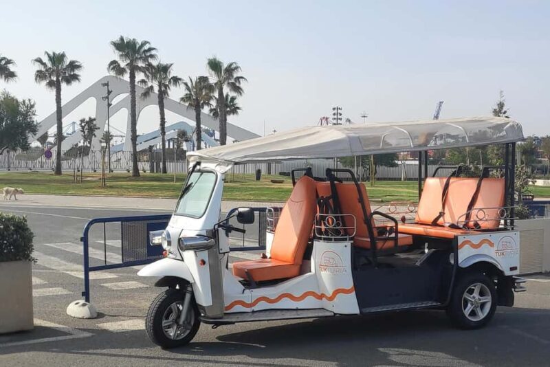 Valencia: Full Tuk Tuk Tour (2h) - The Sum Up