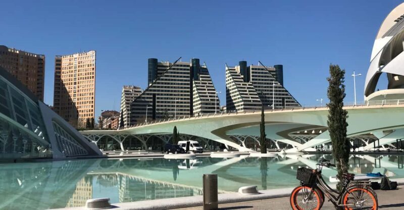 Valencia: Grand City Bike Tour on Bicycle, E-Bike or E-Step - Practical Details and What to Keep in Mind