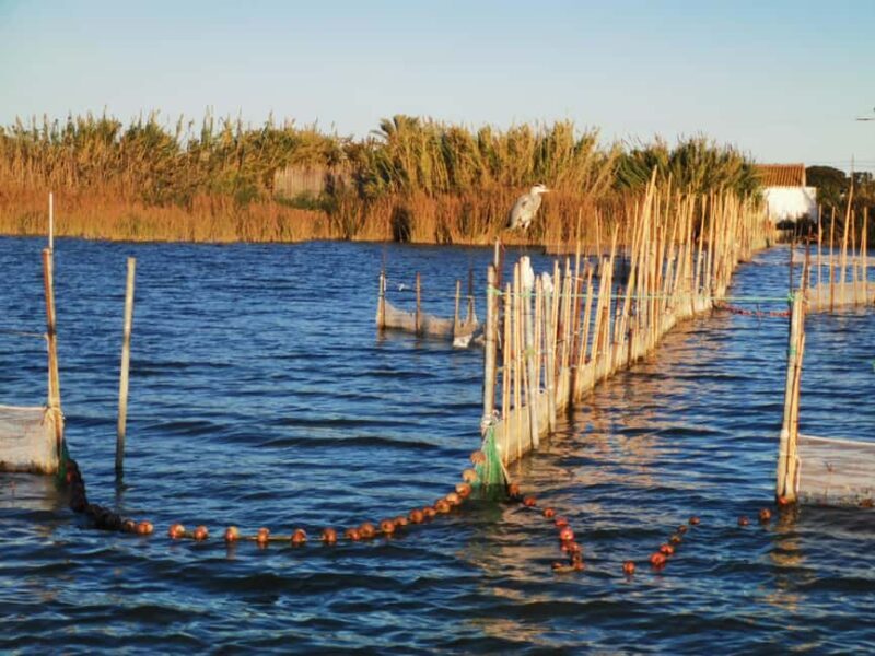 Valencia: Guided Lake Albufera Boat Ride and Barraca Tour - Who Should Consider This Tour?