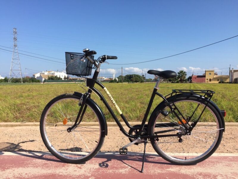 Valencia: Horchata Bike Tour - Whats Included and What to Expect on the Tour