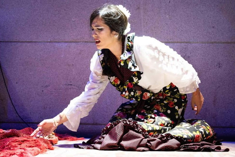Valencia: La Reina Flamenco Show - An In-Depth Look at the Flamenco Experience