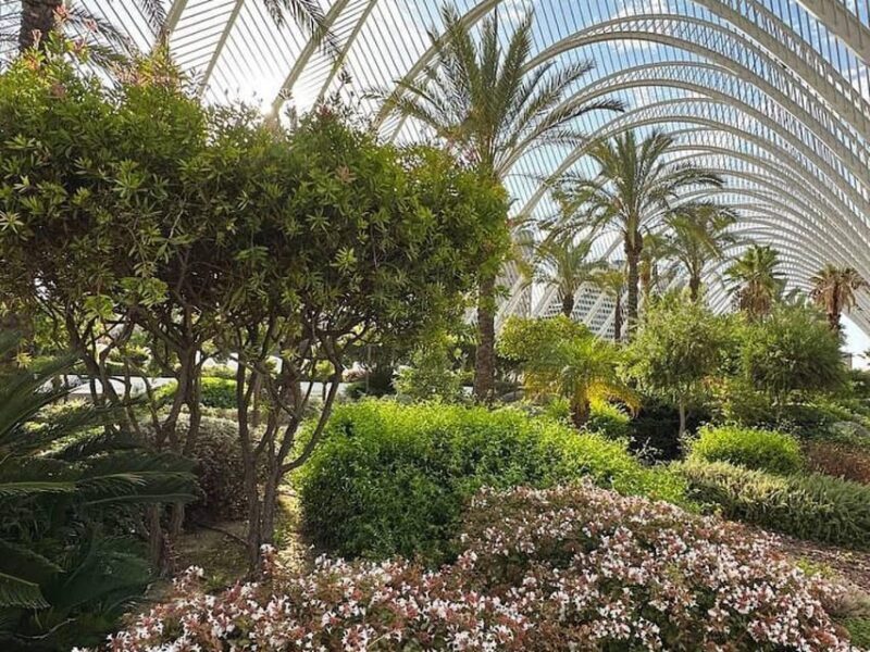 Valencia: Medieval City Guided Walking Tour - Who Should Book This Tour