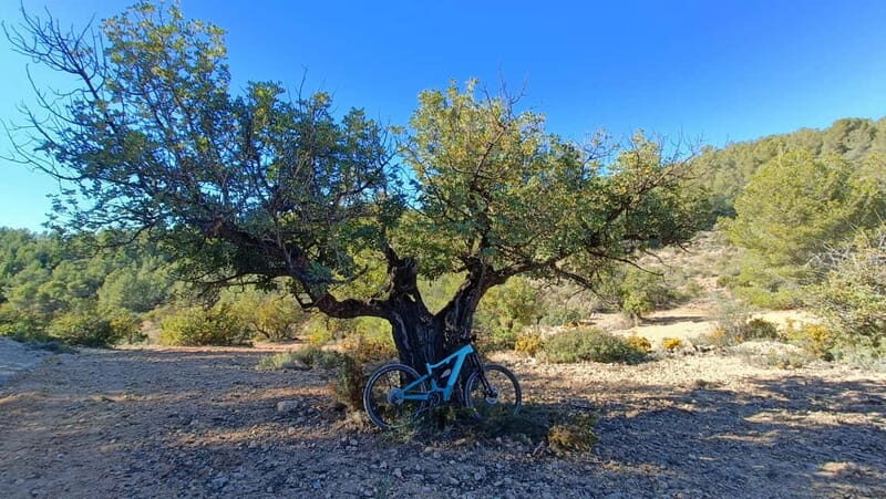 Valencia: Mountain E-Bike Tour + Transfers + Drone Footage - FAQ