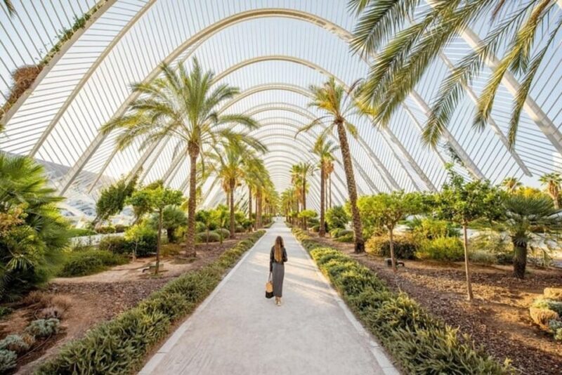 Valencia: Must-See Attractions Walking Tour - Introduction: What This Tour Offers and Why It’s Worth Considering