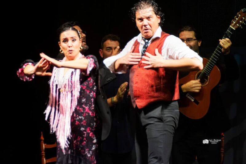 Valencia: New Flamenco Show in the Most Emblematic Theater of the City - The Practical Side: Logistics and Value