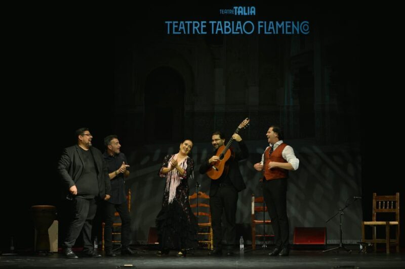 Valencia: New Flamenco Show in the Most Emblematic Theater of the City - Who Should Consider This Tour?