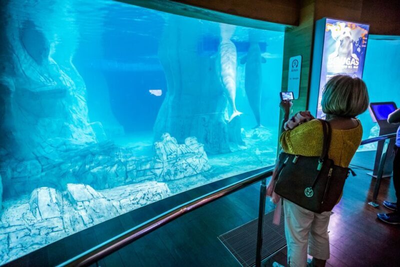 Valencia: Oceanogràfic Entry Ticket - Overall Impression