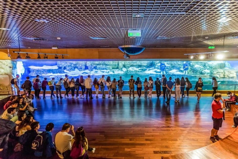Valencia Oceanogràfic Entry with Backstage tour in Spanish - Practical Tips for Your Visit