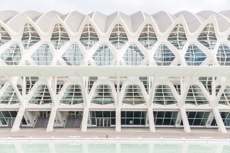 Valencia: Oceanogràfic, Hemisfèric & Science Museum Combos - The Sum Up: Who Will Love This Experience?