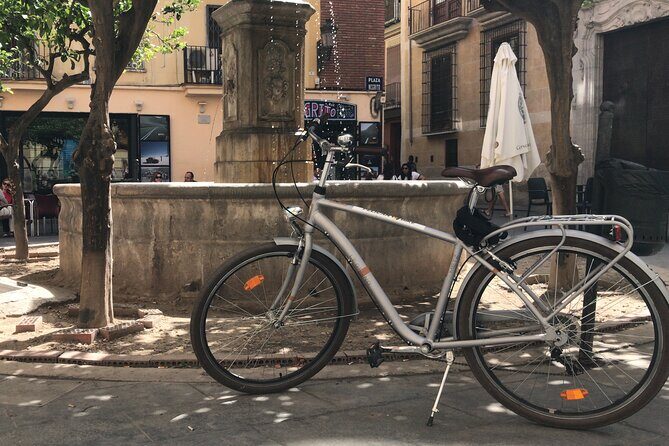 Valencia Old Town Private Tour by Bike or Electric Ride - The Value of the Experience