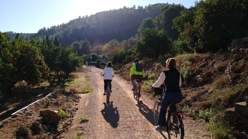 Valencia: Orange Grove Bike Tour with Monastery Visit - Key Points