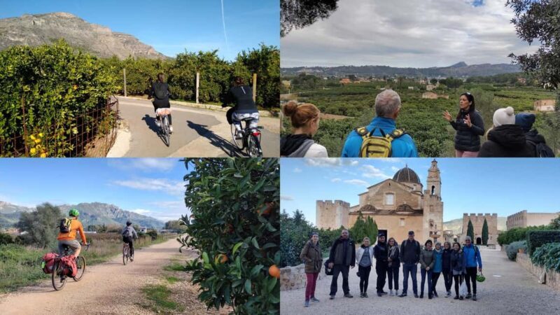Valencia: Orange Grove Bike Tour with Monastery Visit - Frequently Asked Questions