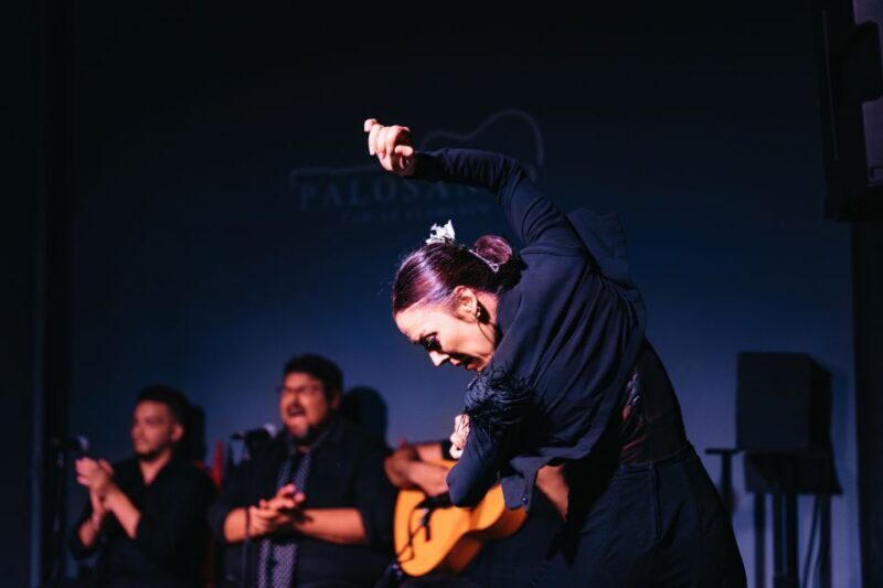 Valencia: Palosanto Flamenco Show Ticket - What to Expect at Palosanto Flamenco