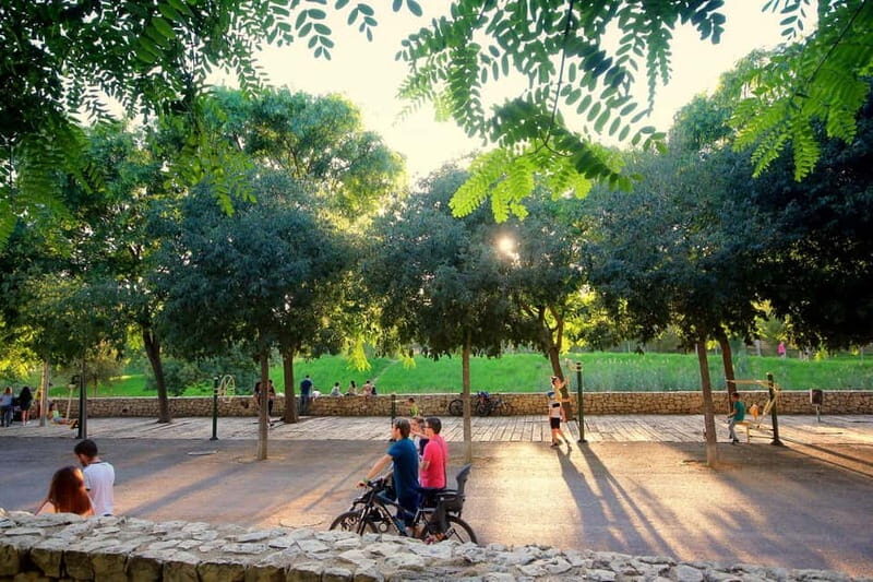 Valencia Parks: Private Tour on Bicycle, E-Bike or E-Step - An In-Depth Look at the Valencia Parks Private Tour