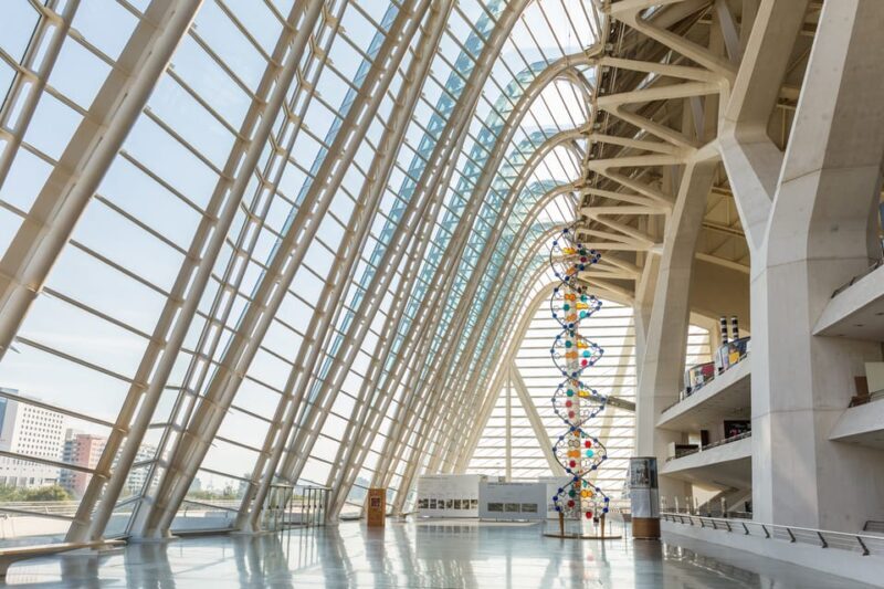 Valencia: Principe Felipe Science Museum Entry Ticket - The New Leonardo da Vinci Exhibition