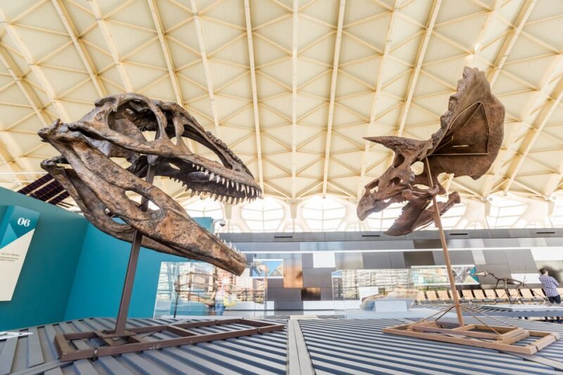 Valencia: Principe Felipe Science Museum Entry Ticket - Visitor Experience and Practical Tips