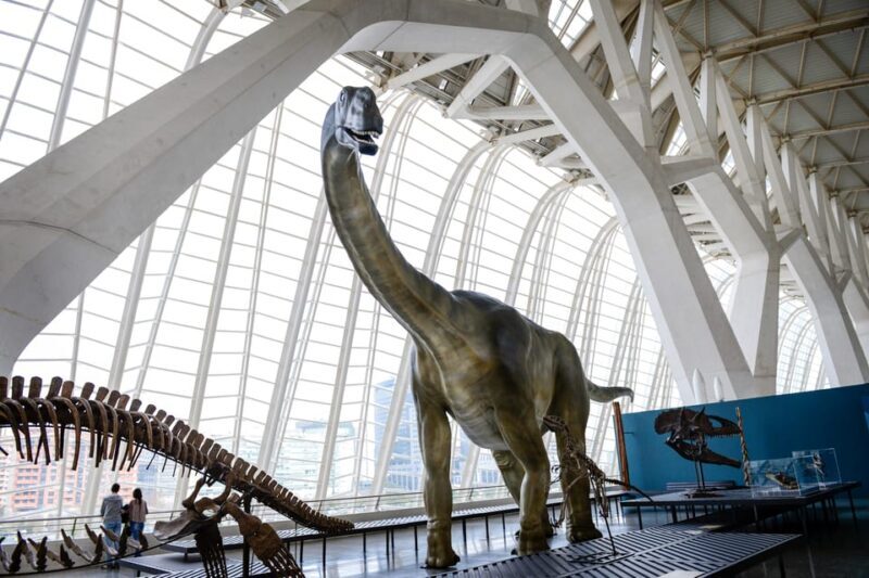 Valencia: Principe Felipe Science Museum Entry Ticket - FAQ