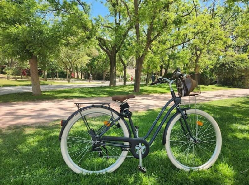 Valencia: Private Bike Tour with Local Guide (Min 4 people) - Who Should Consider This Tour?