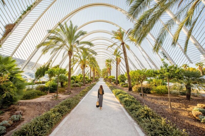 Valencia: Private Brunch Tour with Basic Spanish Learning - Who Should Consider This Tour?