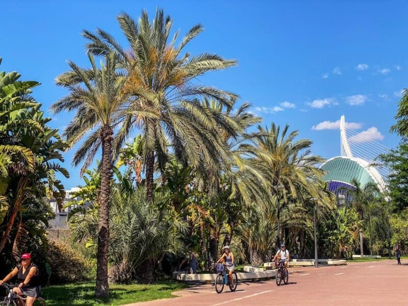 Valencia: Private City Tour on Bike with Drink Stop - Reviews and Authentic Feedback