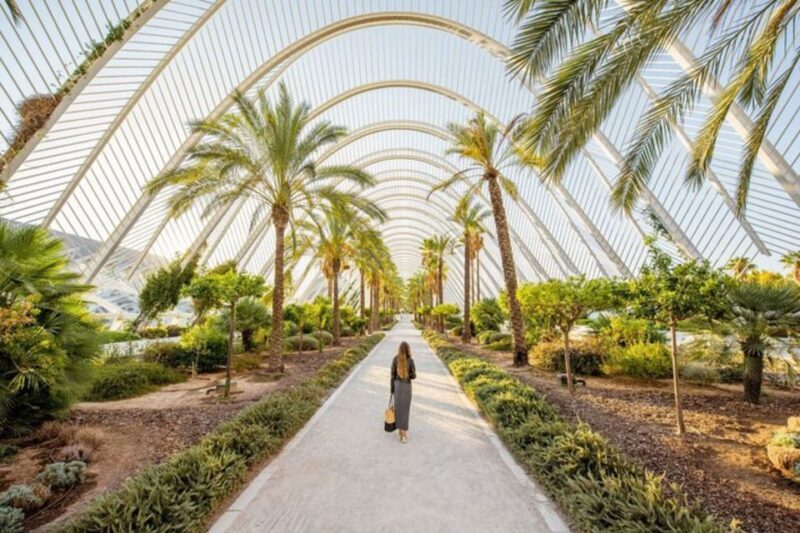Valencia: Private custom tour with a local guide - Frequently Asked Questions
